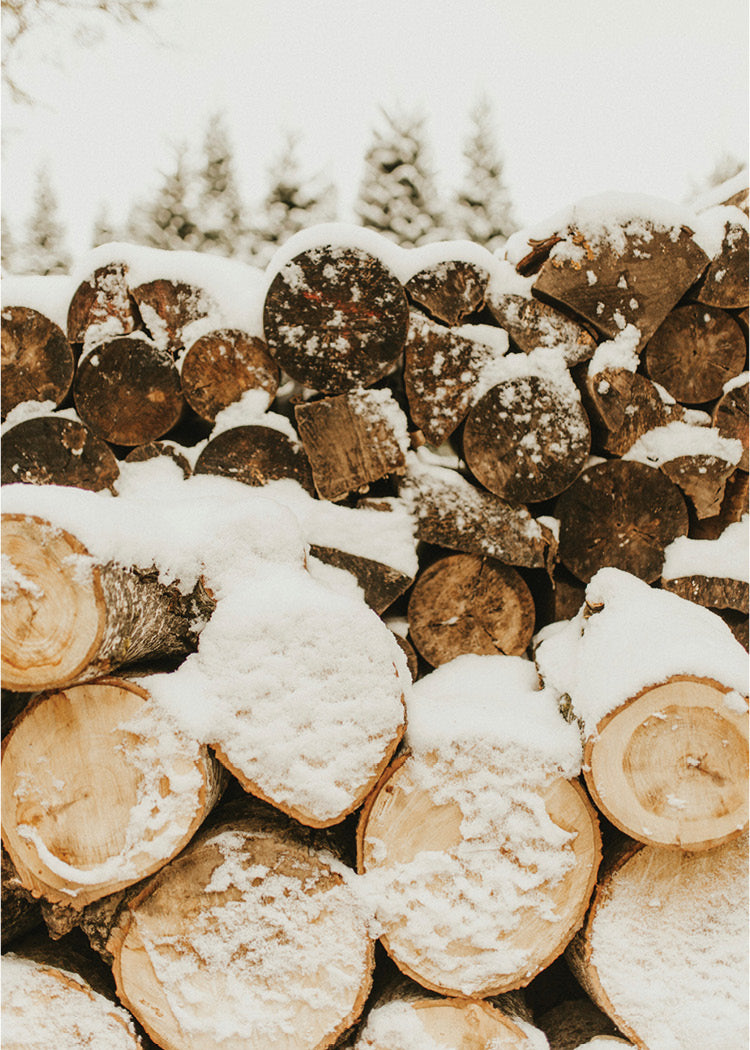 Christmas Tree Farm / Events / Holiday Decor / Candles / Lavendar ...